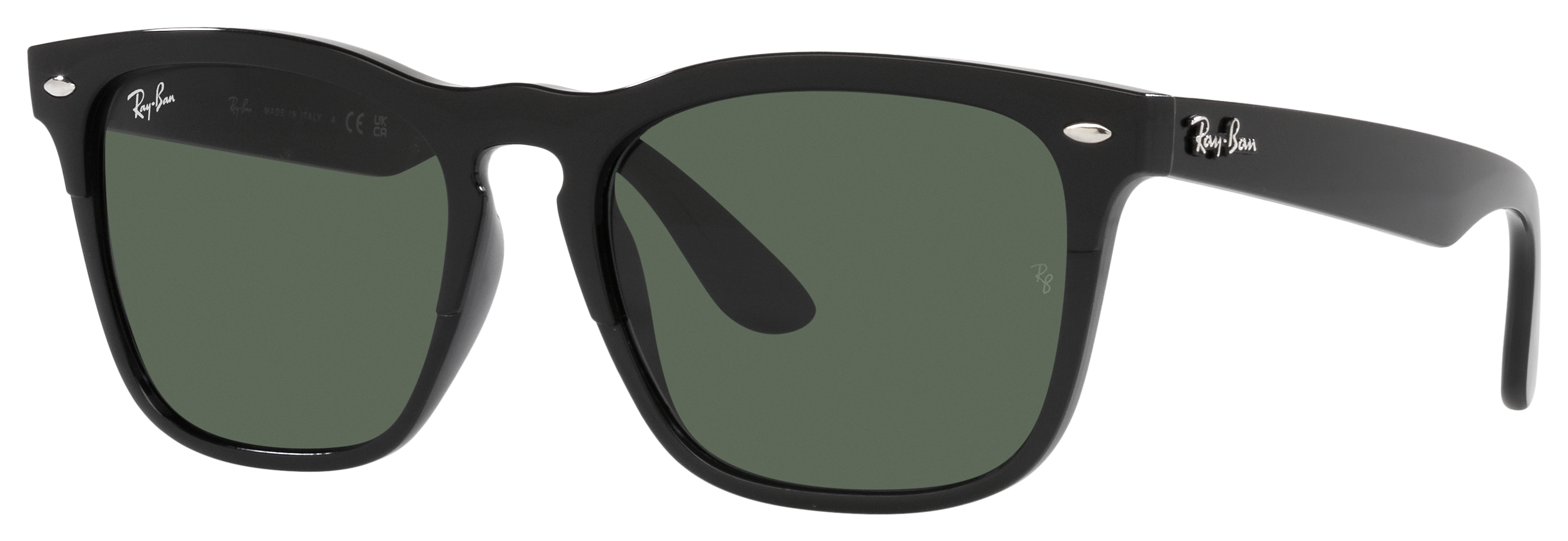 Ray-Ban Steve RB4487 Classic Sunglasses | Bass Pro Shops